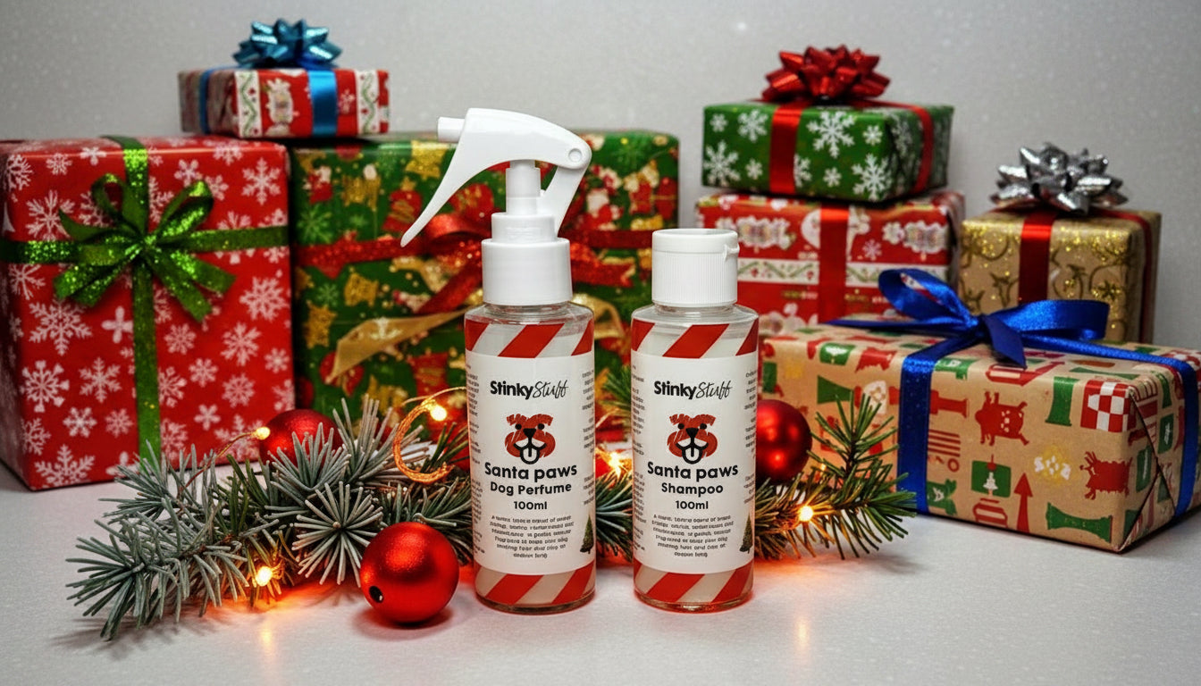 Santa Paws Christmas Dog Shampoo & Perfume Gift Set – Festive Grooming ...