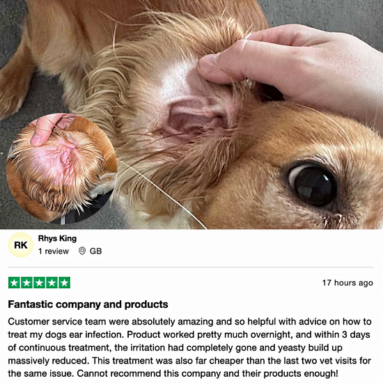 🐶 Say Goodbye to Itchy, Irritated Ears – Relief your dog can feel ...